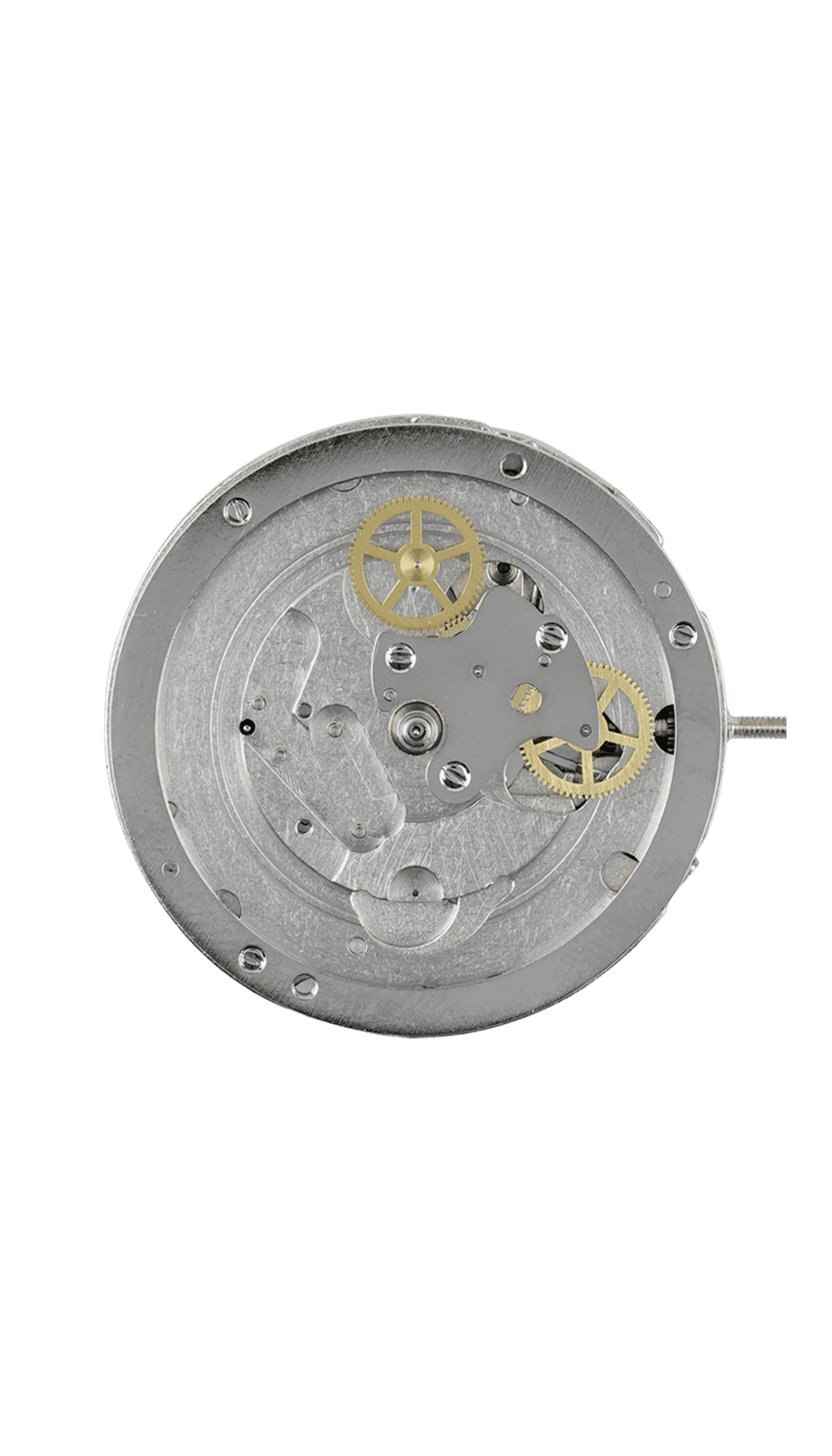 L70 MANUALE SABBIATO - Importimewatches