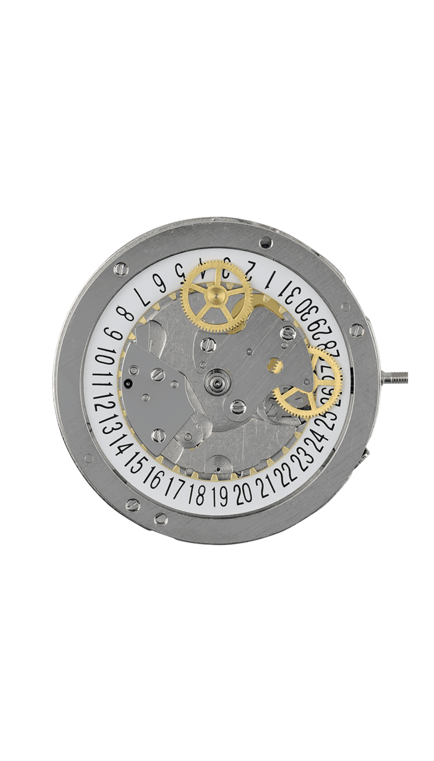 L77 CRONOGRAFO - Importimewatches